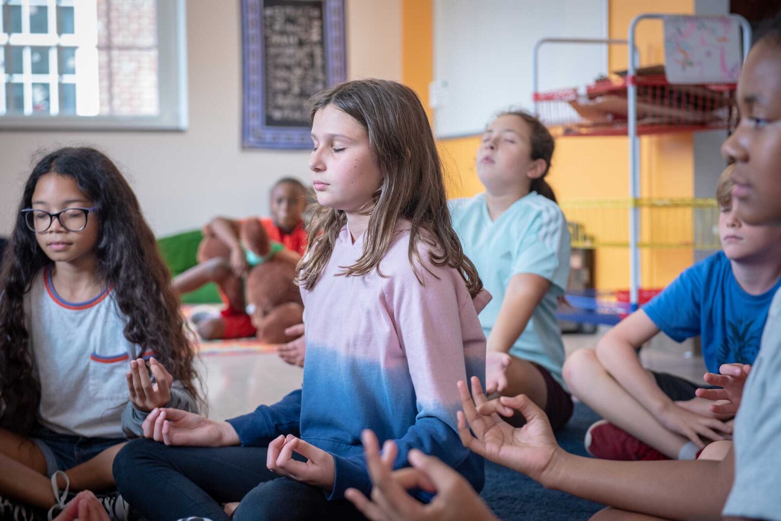 Peace of Mind Program – Integrates Mindfulness, Social Emotional ...